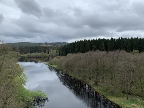 10 Best Walking Trails in Kielder Forest | AllTrails