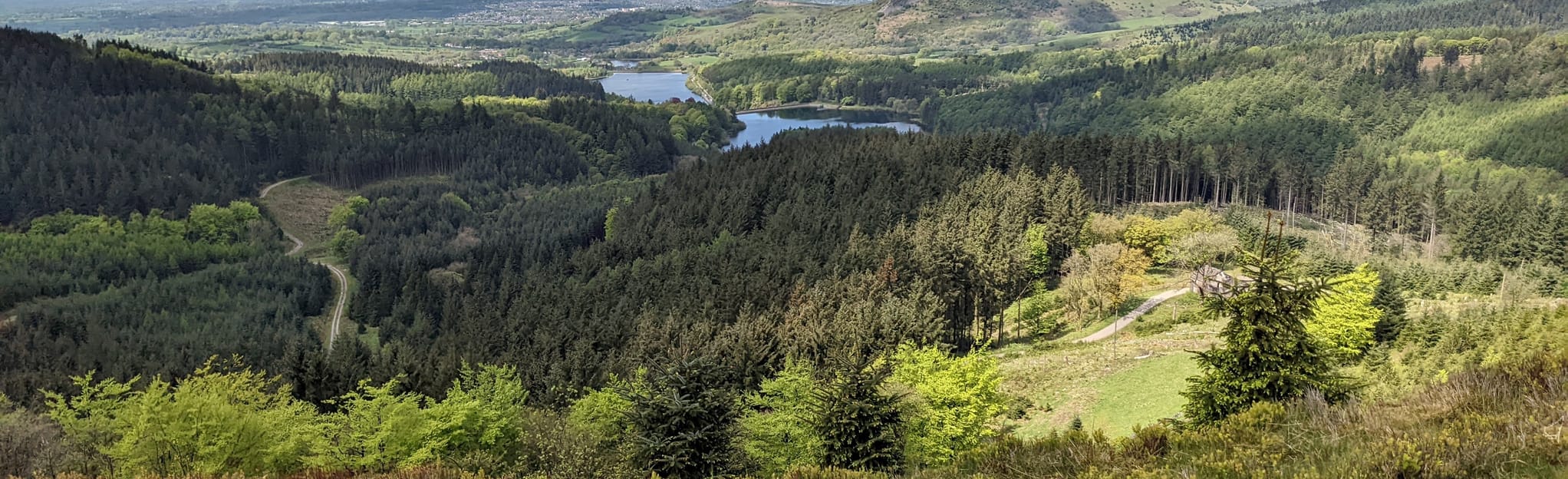 Wildboarclough - Shutlingsloe - Shining Tor Circular: 19 Reviews, Map ...