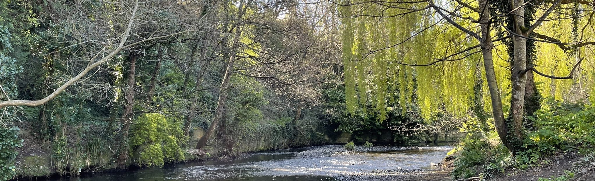 Dodder Walk: 96 Reviews, Map - County Dublin, Ireland | AllTrails