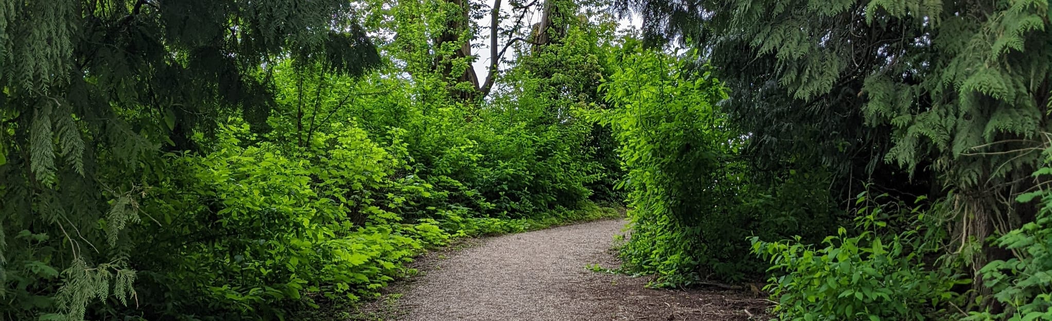 Bose Forest Park Loop Trail, British Columbia, Canada - 41 Reviews, Map ...