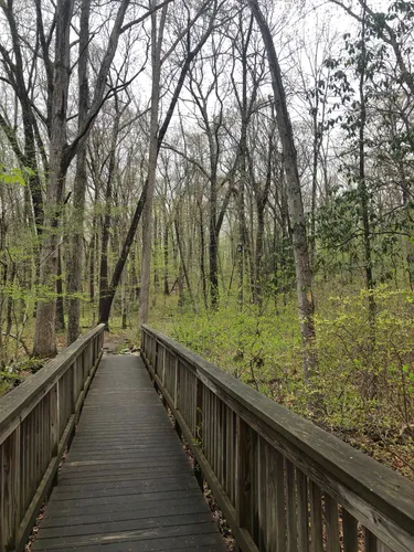 Best Hikes and Trails in Webb Mountain Discovery Zone | AllTrails