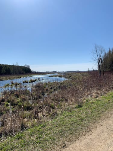 Best Hikes and Trails in Luther Marsh Conservation Area | AllTrails