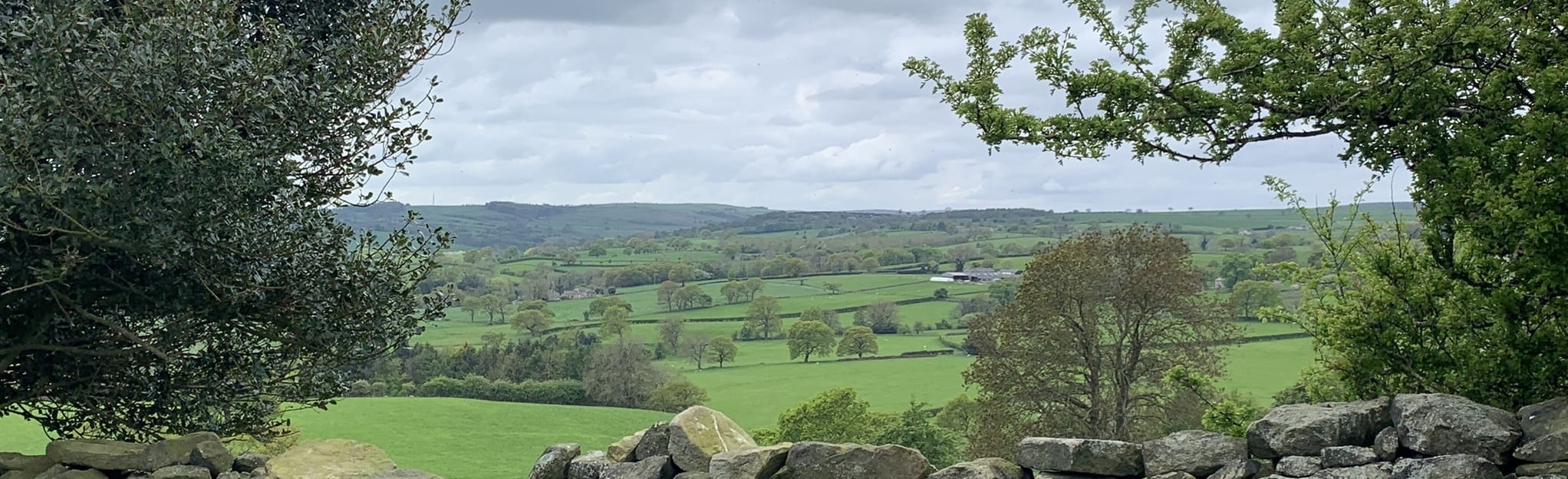 Weeton - Stainburn Circular: 98 Fotos - West Yorkshire, England | AllTrails