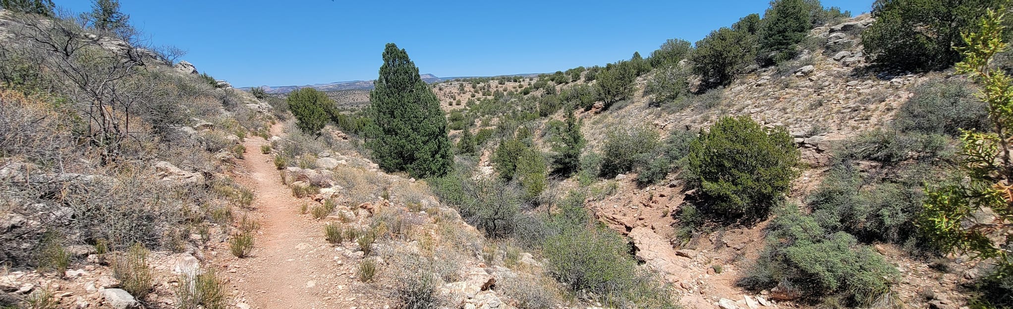 Golden Gulch: 29 Reviews, Map - Arizona | AllTrails