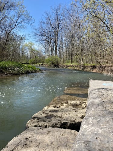 Best 10 Hikes and Trails in Hamilton Conservation Authority | AllTrails