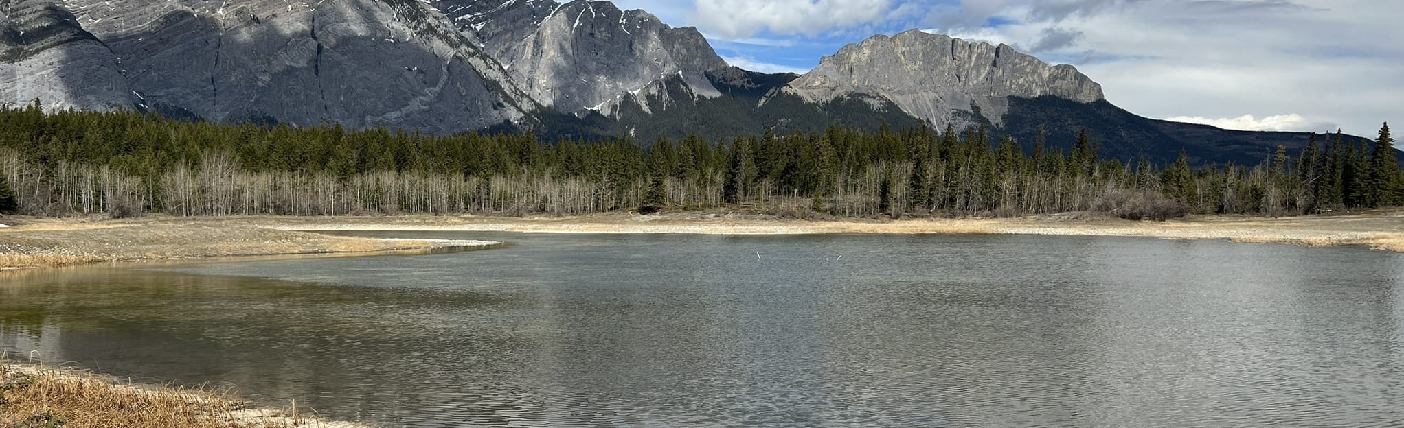 Middle Lake Trail: 184 Reviews, Map - Alberta, Canada | AllTrails