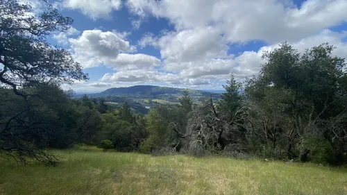 10 Best Hikes and Trails in Trione-Annadel State Park | AllTrails