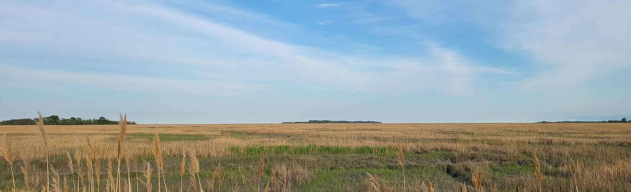 Lighthouse Road Trail, Delaware - 31 Reviews, Map | AllTrails