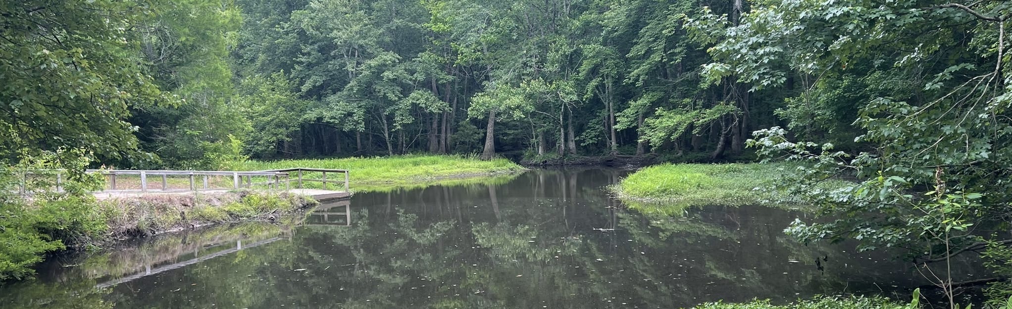 Jeffries Creek Park Loop - South Carolina | AllTrails