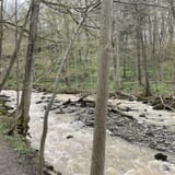 Bruce Trail: Niagara Section, Ontario, Canada - 396 Reviews, Map ...