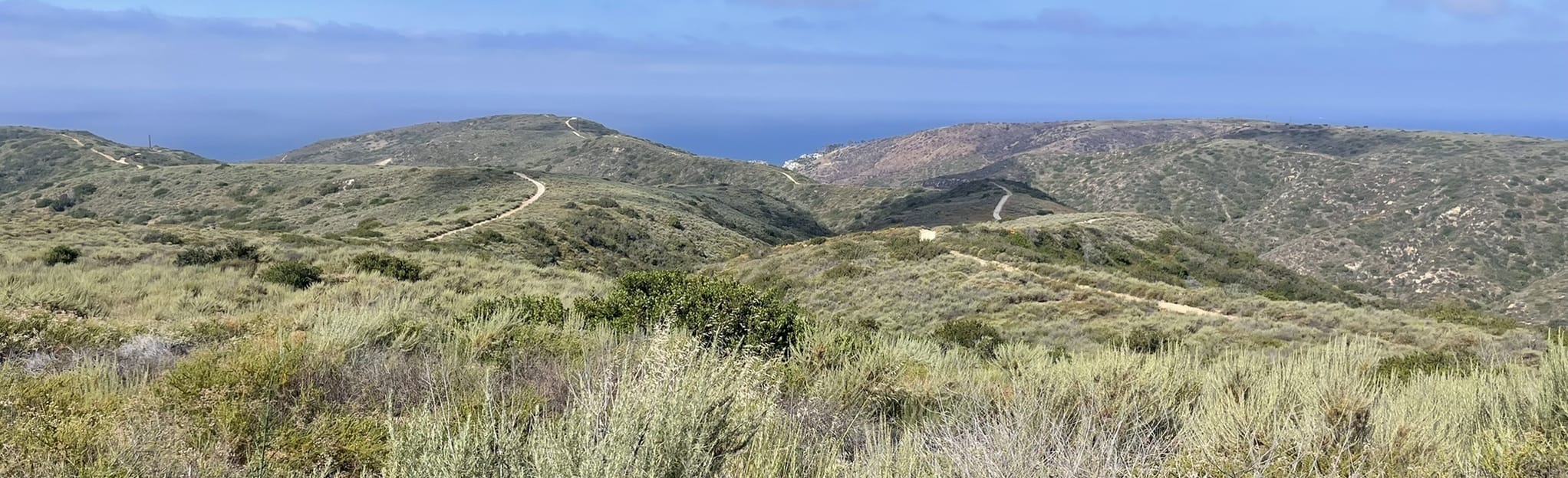 Laguna Bowl and Water Tank Road Loop - California | AllTrails