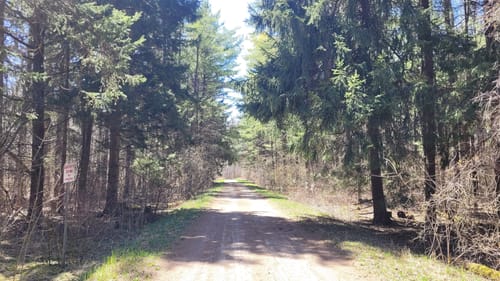 De beste routes in Luther Marsh Conservation Area voor 2023 | AllTrails