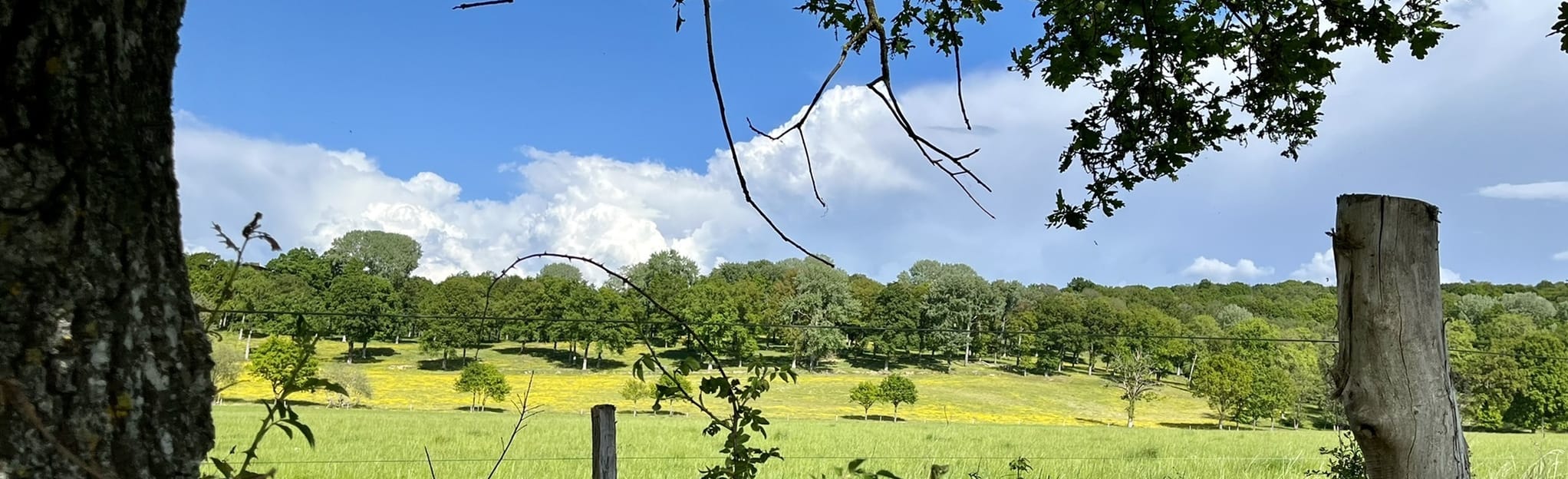 Les Buttes de Rosne : 52 Photos - Oise, France | Randonnée | AllTrails