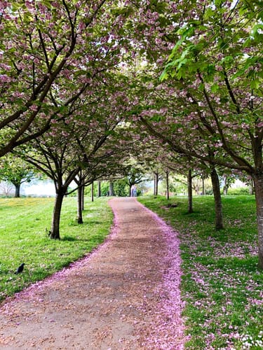 Best Hikes and Trails in Hailey Park | AllTrails