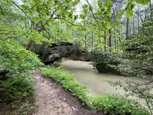 Best Waterfall Trails in Red River Gorge Geological Area | AllTrails