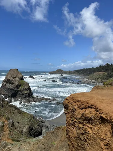 10 Best Trails and Hikes in Gold Beach | AllTrails