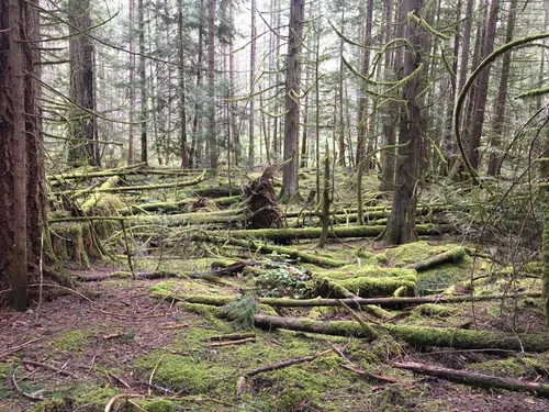 10 Best Hikes and Trails in Mount Work Regional Park | AllTrails