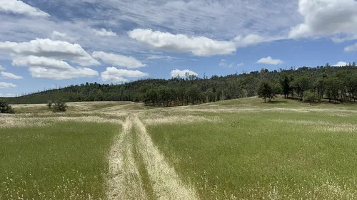 10 Best Hikes and Trails in Cache Creek Wilderness | AllTrails