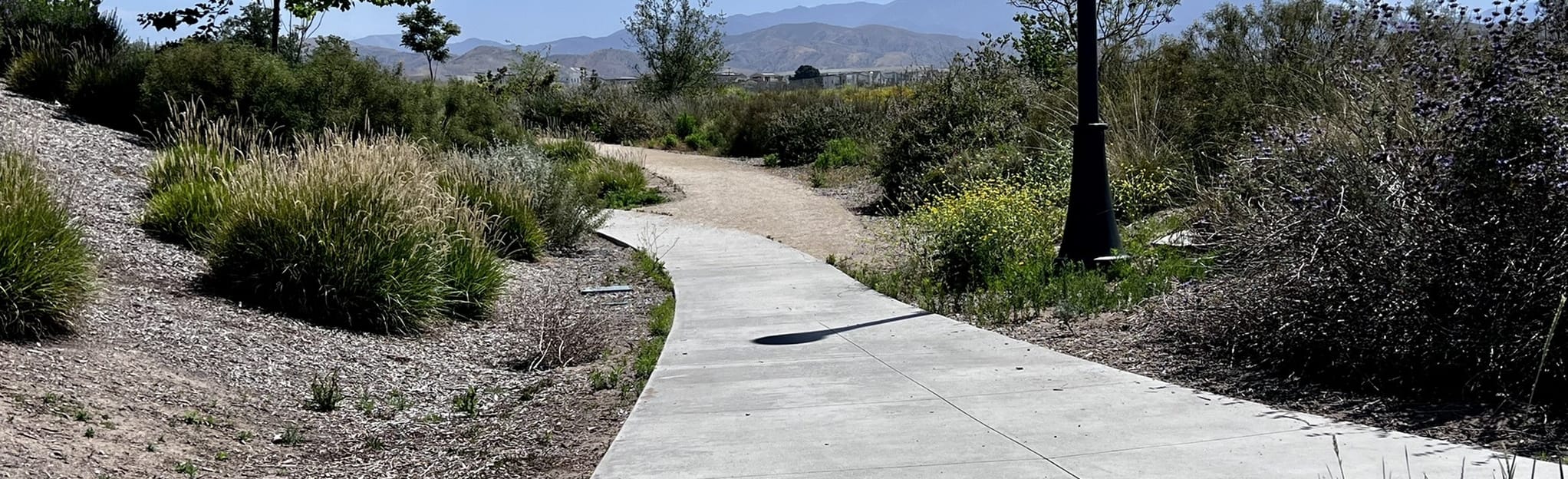 Bosque Trail, California - 167 Reviews, Map | AllTrails
