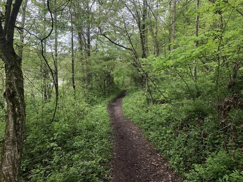 Best Hikes and Trails in Strouds Run State Park | AllTrails