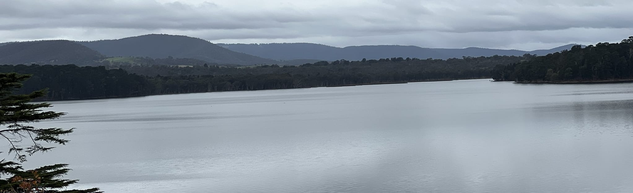 Yan Yean Loop: 35 Reviews, Map - Victoria, Australia | AllTrails