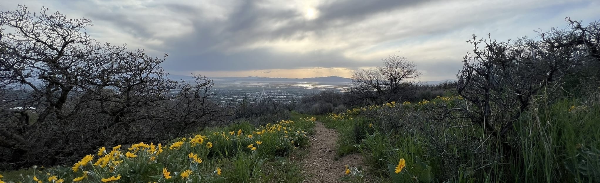 Temple Loop, Utah - 173 Reviews, Map | AllTrails