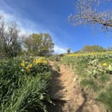Temple Loop, Utah - 174 Reviews, Map | AllTrails