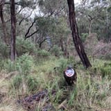 Cardinia Aqueduct Trail, Victoria, Australia - 272 Reviews, Map | AllTrails