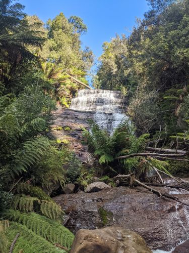 Best Hikes and Trails in Mole Creek Karst National Park | AllTrails