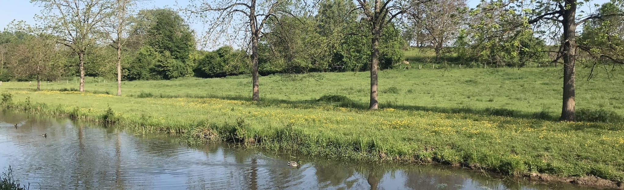 Reipertswiller - Col du Kammbuehl, Bas-Rhin, France - 8 Reviews, Map ...