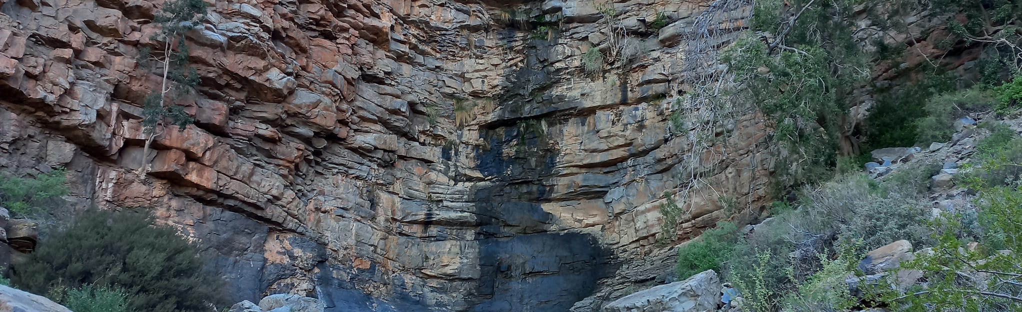 Nuwerus MTB: 1 Reviews, Map - Western Cape, South Africa | AllTrails