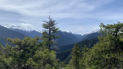 10 Best Trails and Hikes in Sequim | AllTrails