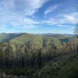 Duncan Ridge Trail, Georgia - 71 Reviews, Map | AllTrails