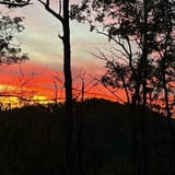 Duncan Ridge Trail, Georgia - 71 Reviews, Map | AllTrails