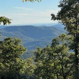 Duncan Ridge Trail, Georgia - 71 Reviews, Map | AllTrails