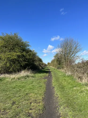 10 Best Trails, Walks, and Paths in Kingston upon Hull | AllTrails