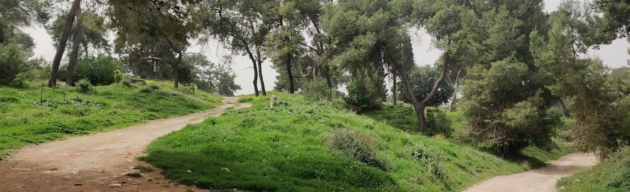 Kfar Hahoresh Forest Circuit, Northern District HaZafon, Israel - 2 ...
