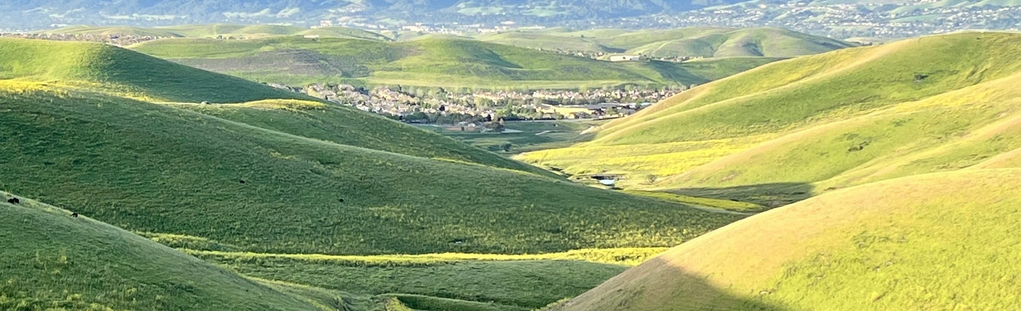 Tassajara Ridge, Alamo Creek, and Rolling Hills Loop, California - 77 ...