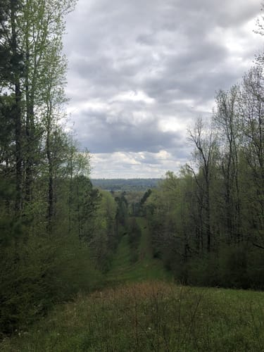 2023 Best 10 Trails in Red Mountain Park | AllTrails