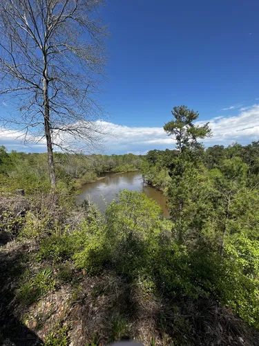 Best Easy Trails in Cliffs of the Neuse State Park | AllTrails
