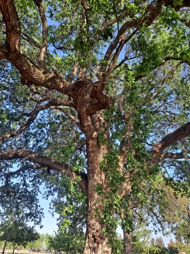 Best Hikes and Trails in Perry Family Park | AllTrails