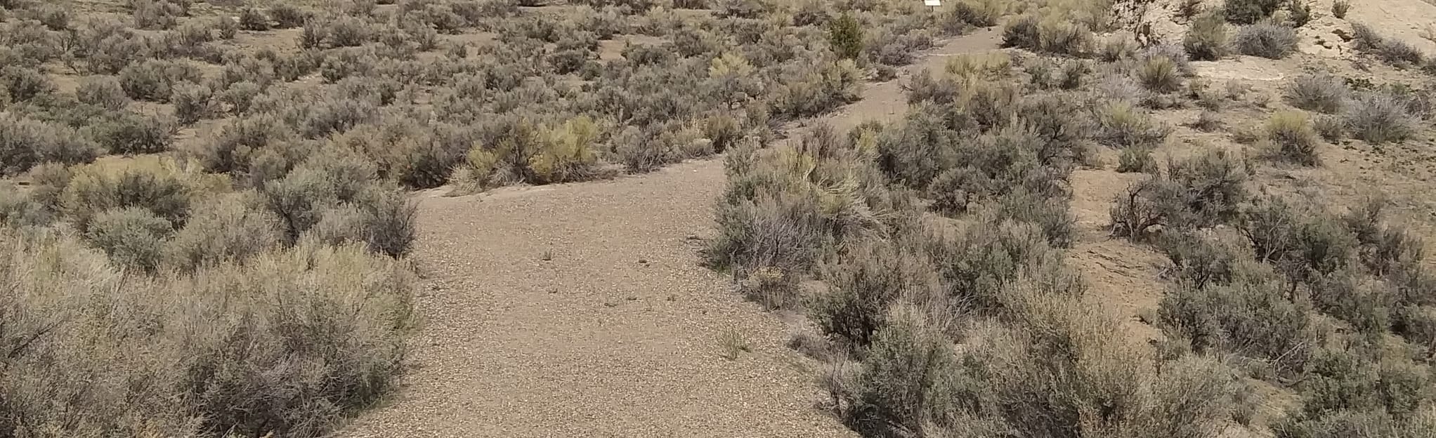 California Trail Overlook: 9 Reviews, Map - Nevada | AllTrails