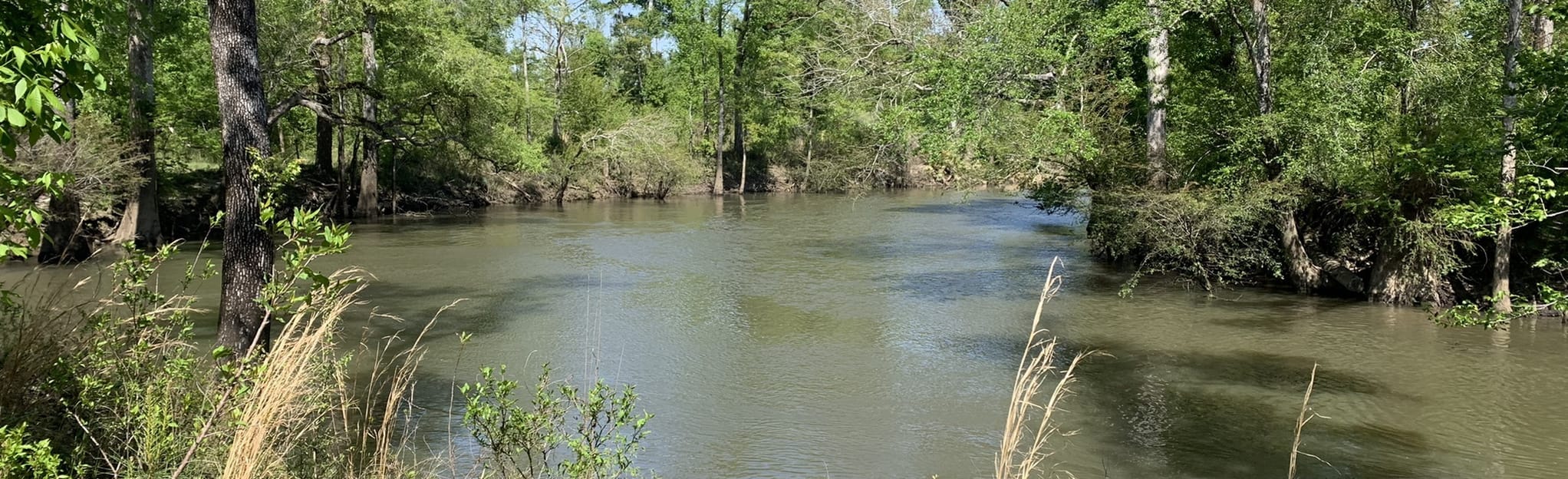 Chipola River: FL 166 to County 280A, Florida - 3 Reviews, Map | AllTrails