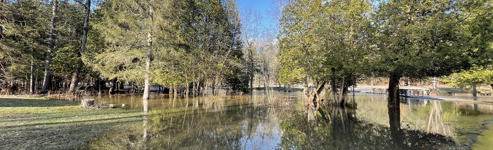 Geyser Loop Trail - New York | AllTrails