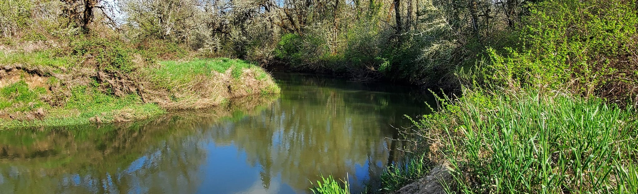 Long Tom River Trail: 60 Reviews, Map - Oregon | AllTrails