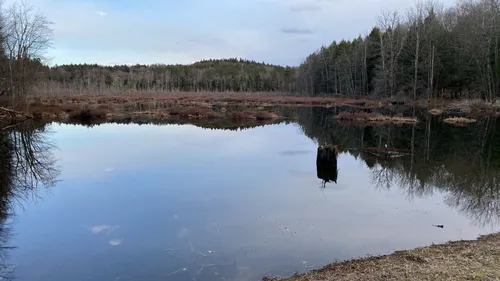 Best Hikes and Trails in Charles E. Baker State Forest | AllTrails