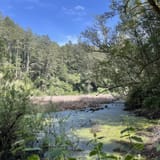 Alamere Falls via Olema Valley, Bolema, Lake Ranch, Coast Trail ...