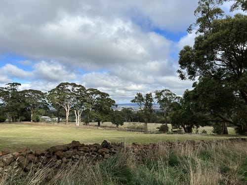 Best Hikes and Trails in Mount Buninyong Scenic Reserve | AllTrails