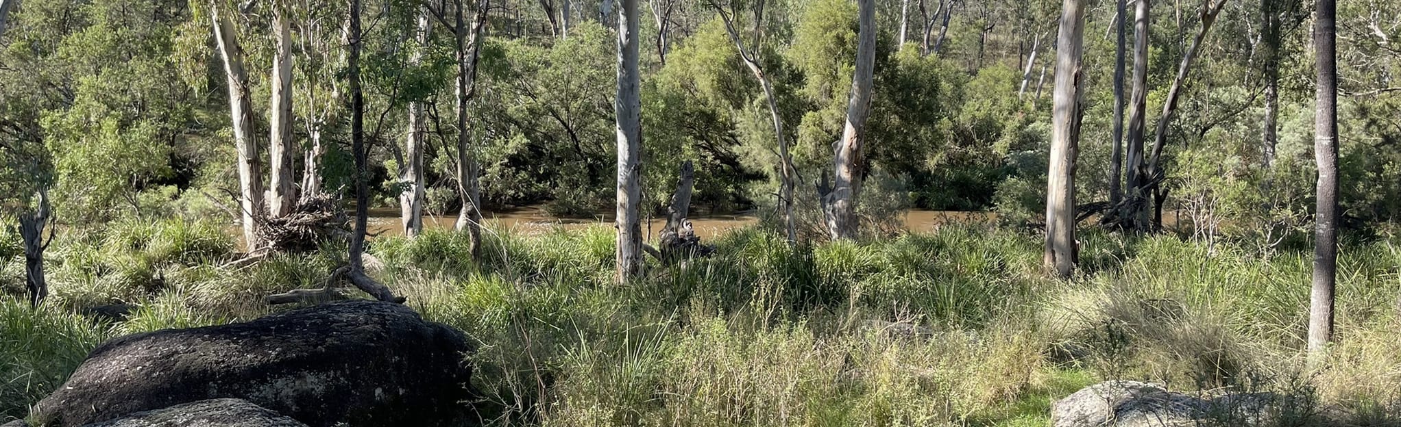 Lemon Tree Flat to Kookabitta Track: 4 Reviews, Map - New South Wales ...