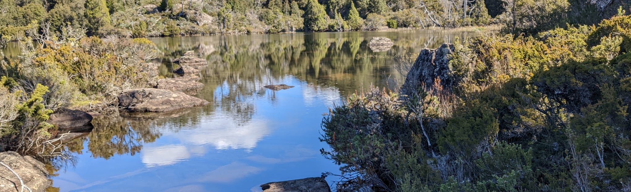 Mount Pillinger Arm River Loop Track: 7 Reviews, Map - Tasmania ...